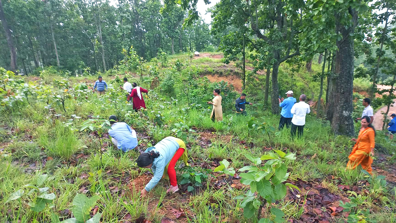 पुष्पलाल स्मृति दिवसमा वृक्षारोपण